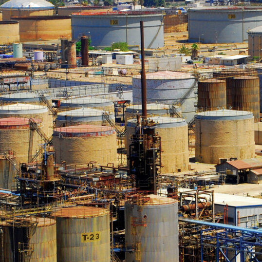 Portfolio | Guy Shachar