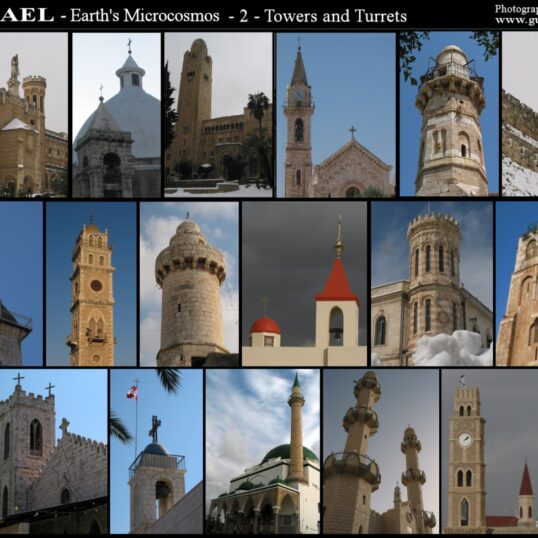 Portfolio | Guy Shachar