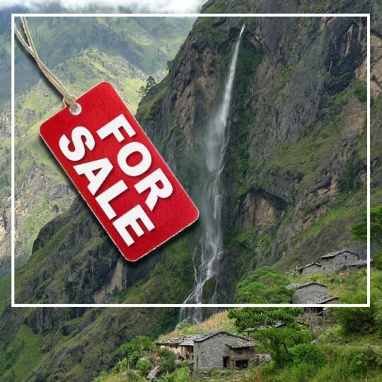 Portfolio | Guy Shachar