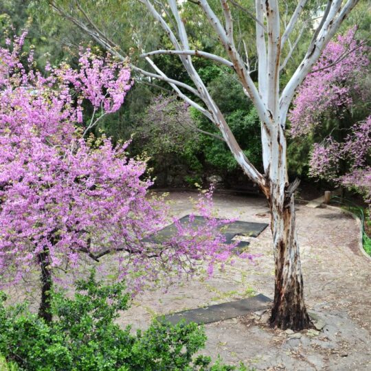 Guy Shachar - Multidisciplinary view of the world